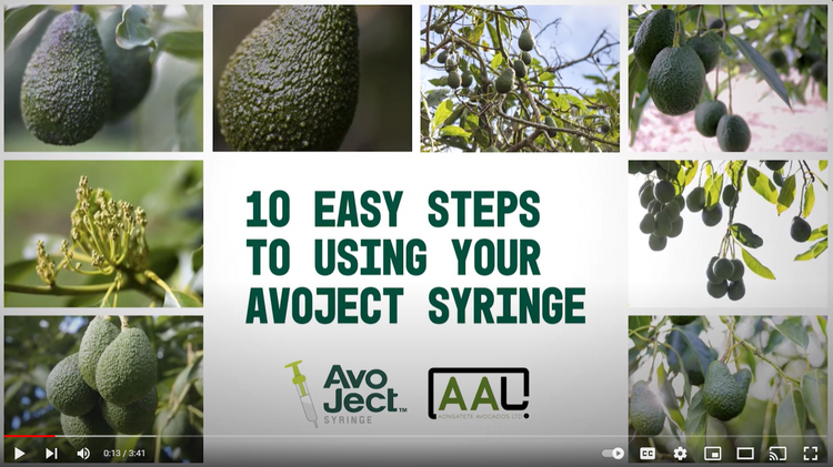 User Guide – AvoJect